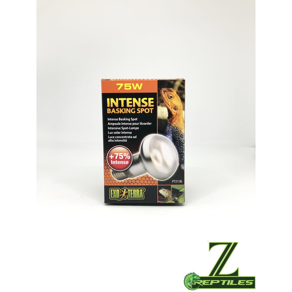 Đèn UVA ExoTerra Intense 50W-75W dành cho bò sát sa mạc | Shopee Việt Nam