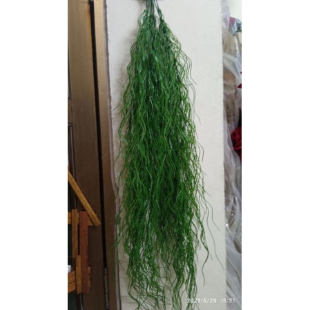Cụm rong rủ giả trang trí nhà cửa /trang trí sự kiện- cụm lá rủ siêu ...