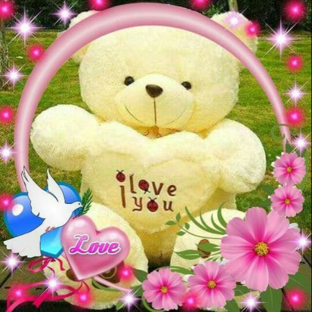 Gấu của Boo trân | Shopee Việt Nam