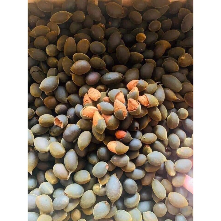 Say Nhung Rừng (1kg) quả to bột nhiều, ít hư | Shopee Việt Nam