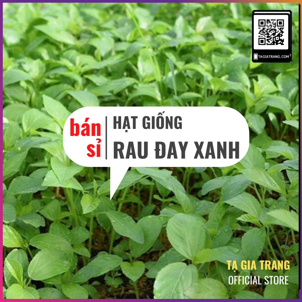 [Bán sỉ] - Hạt giống rau đay xanh (rau đay trắng) | Shopee Việt Nam
