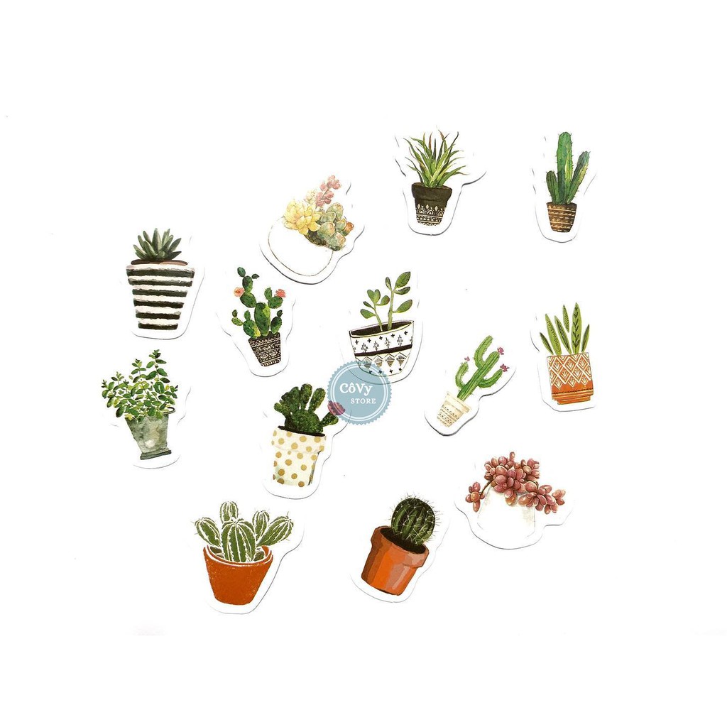 10 Stickers Vintage Cây Cỏ | Shopee Việt Nam