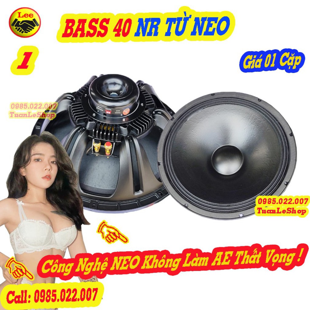 LOA BASS 40 NR TỪ NEO COIL 75 HÀNG CHÍNH HÃNG– LOA RỜI BASS 4 TẤC - GIÁ 02 CHIẾC LOA NHẬP KHẨU ...