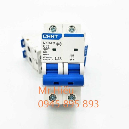 MCB 2P NXB-63 CHINT (APTOMAT 2 PHA CHINT) | Shopee Việt Nam