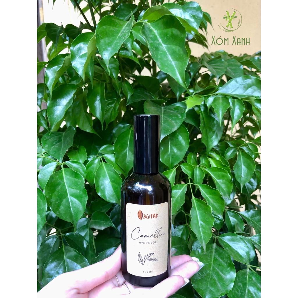 [BioLak] Camellia Hydrosol - Toner Trà Xanh Và Trà Hoa Đỏ - Cấp Ẩm ...