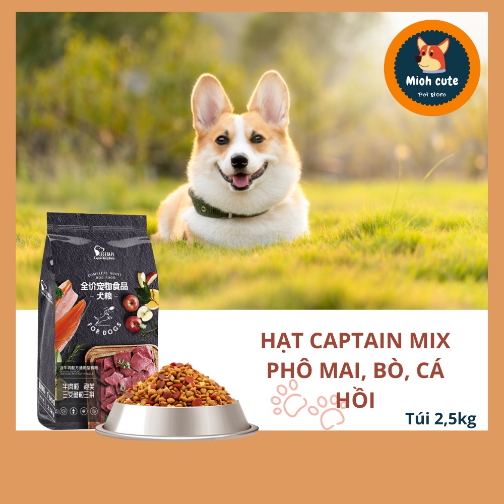 Thức ăn cho chó Hạt Captain cho chó mix với bò, cá hồi, táo sấy Túi 2 ...