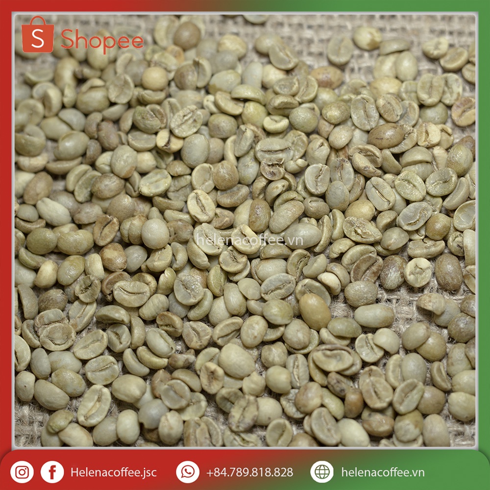 Cà Phê Arabica fully washed coffee beans – Grade 2 | Shopee Việt Nam