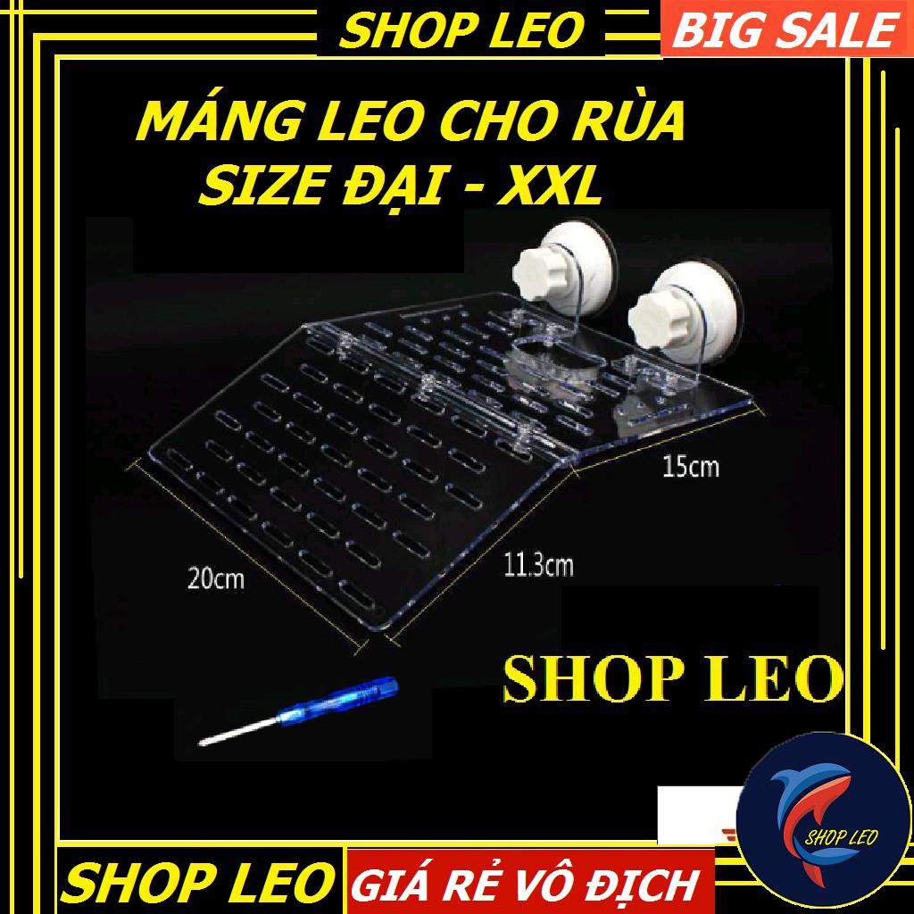 MÁNG LEO CHO RÙA NƯỚC MIKA SIZE TO | Shopee Việt Nam