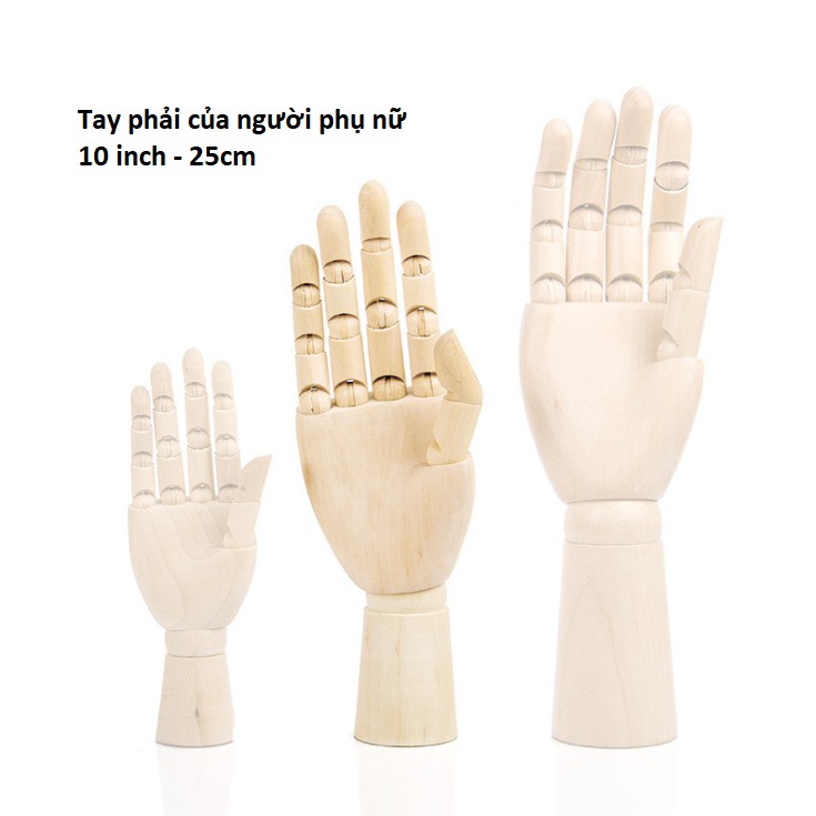Bàn tay gỗ mô hình mỹ thuật, thiết kế, hội họa - Artists Wooden Hand ...