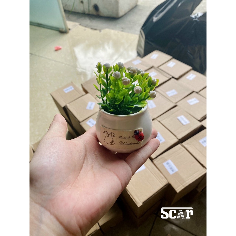 Mô hình set 6 heo, 7 heo mini dễ thương trang trí bàn làm việc, bàn học ...