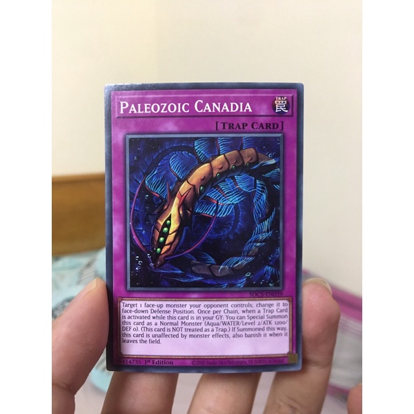Thẻ bài Yugioh Paleozoic Canadia | Shopee Việt Nam
