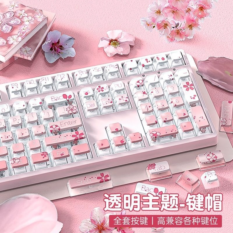 Chính Hãng Gradient Hoa Anh Đào Hồng PBT Bên Trong Suốt Ánh Sáng Trong ...