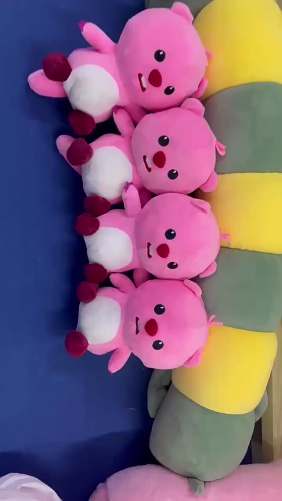 Ruby Little Beaver loopy Doll Tik Tok Influencer Ruby Little Beaver ...