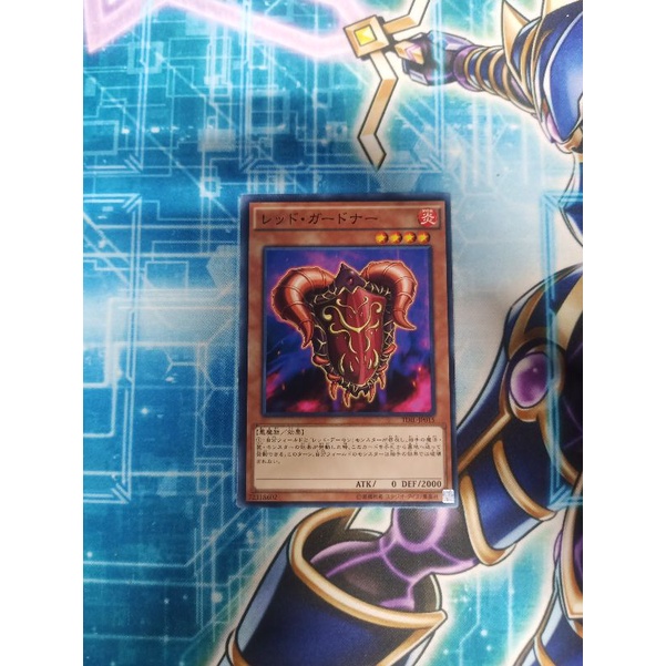 [ 20231116 ] Thẻ bài Yugioh chính hãng TDIL-JP015 - Red Gardna - Common ...