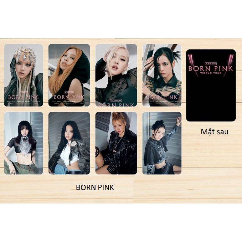 sét 8 card bo góc BACKPINK ALBUM : BORN PINK" | Shopee Việt Nam