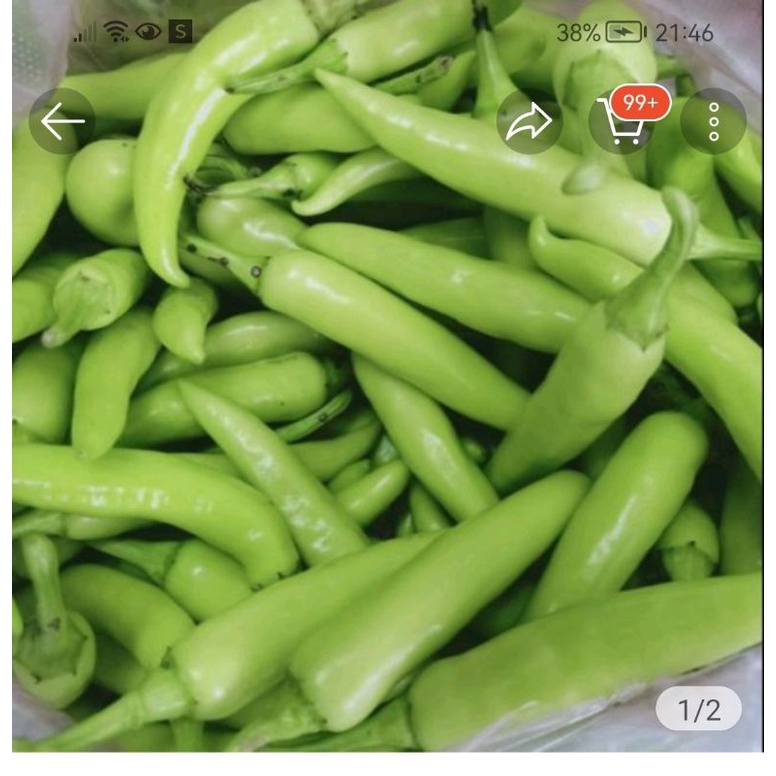 1KG ỚT SỪNG XANH (ĐẶC SẢN HUẾ ) | Shopee Việt Nam