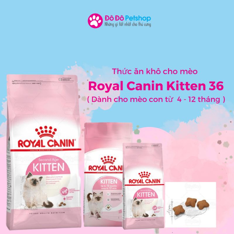 Thức ăn hạt khô Royal Canin Kitten 36 cho mèo con từ 4 tới 12 tháng ...
