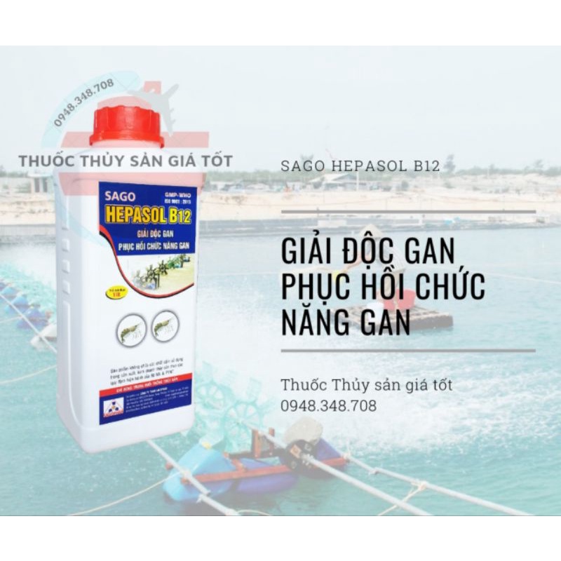 HEPASOL B12_GIẢI ĐỘC GAN, TĂNG CƯỜNG CHỨC NĂNG GAN TÔM | Shopee Việt Nam