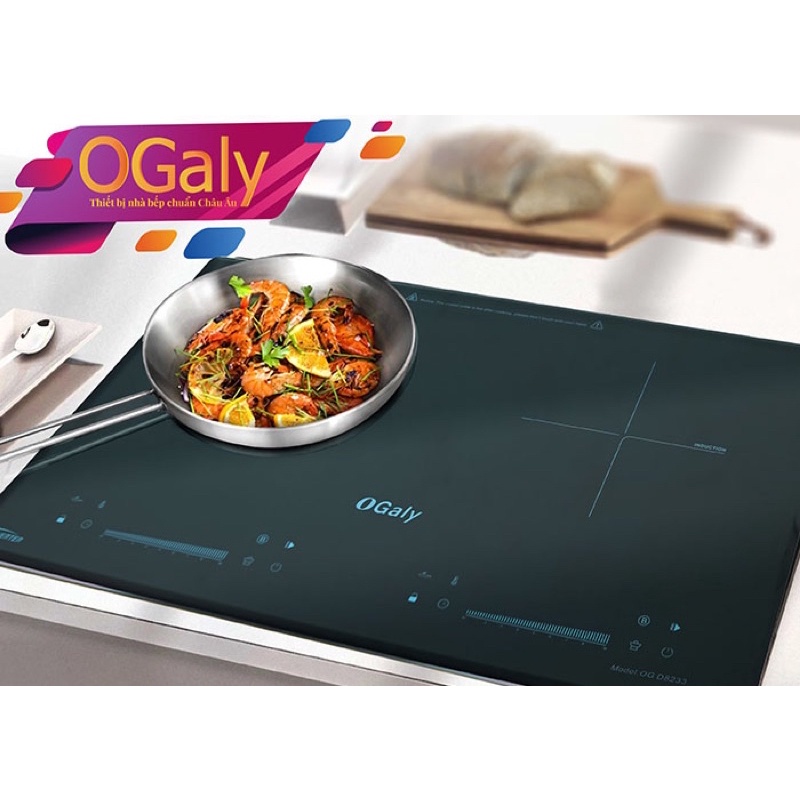 Bếp từ đôi OGaly OG D8233 Công nghệ biến tần (Inverter), tiết kiệm điện ...