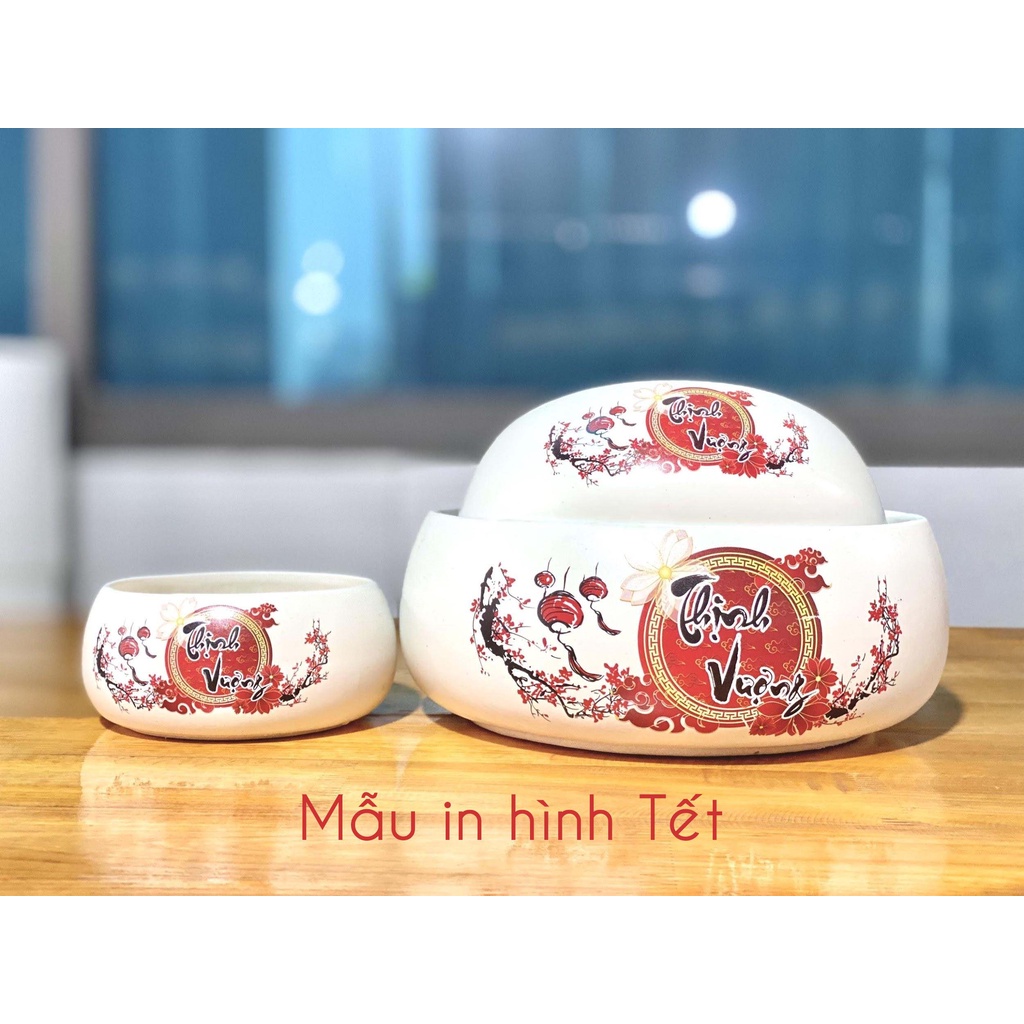 Chậu hạt dẻ lùn in Tết loại to, Chậu trồng lan, ang tròn to trồng cây ...