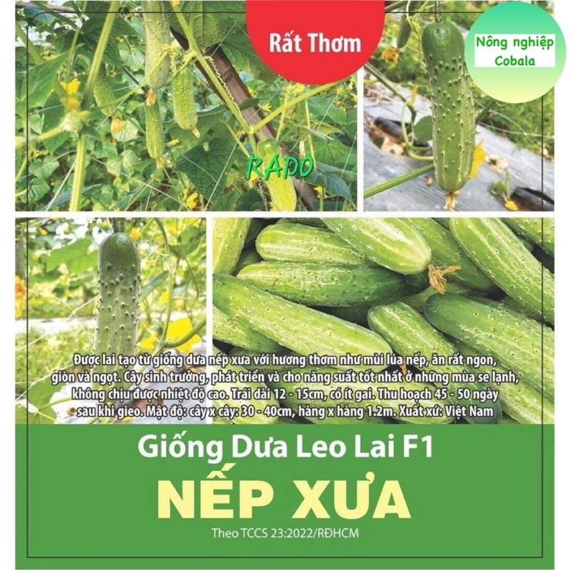 Hạt Giống Dưa Leo Lai F1 (Nếp Xưa) 0.5gr | Shopee Việt Nam