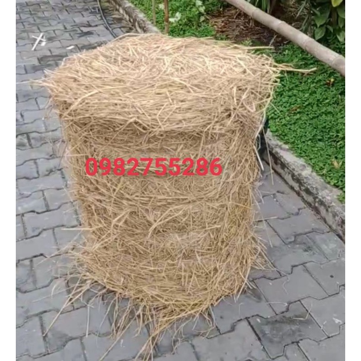 rơm cuộn, ụ rơm | Shopee Việt Nam