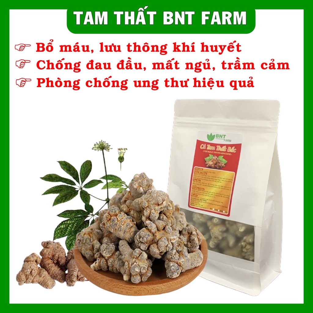 Củ tam thất bắc BNT FARM loại 1, đạt chuẩn Bộ Y tế, Size 40,50,60 củ ± 10%/kg, phòng chống ung ...