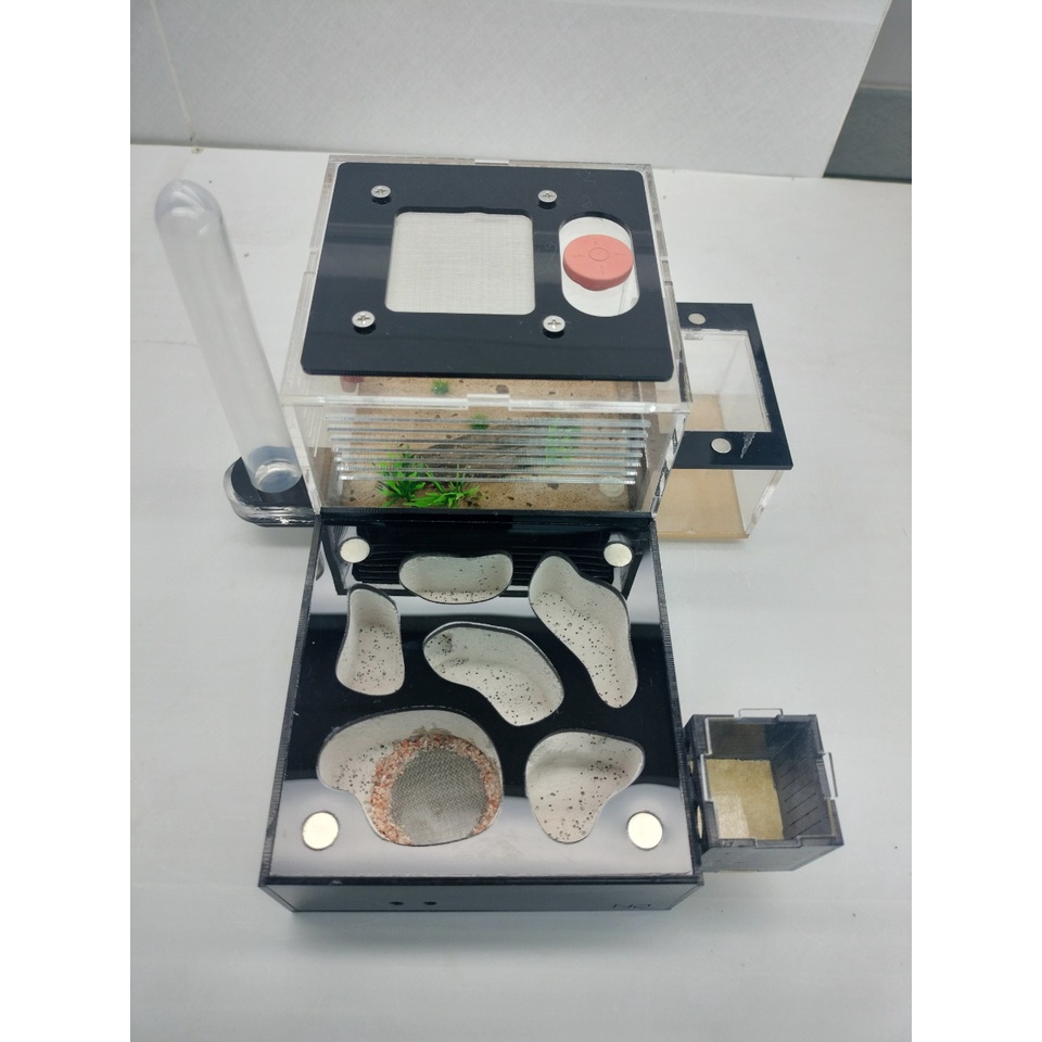 Hộp nuôi kiến/N02/ Tank nuôi kiến/ Tank kiến / nuôi kiến full phụ kiện ...