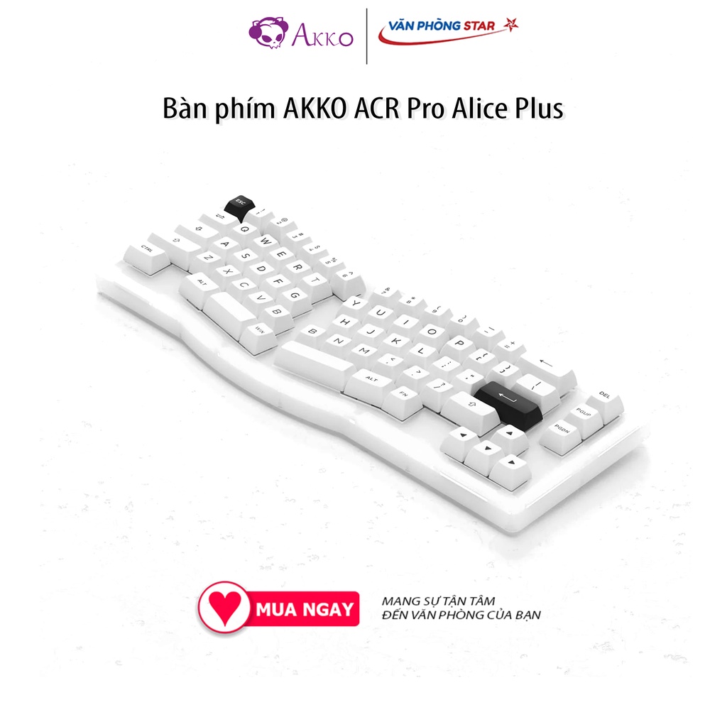 Bàn phím công thái học AKKO ACR Pro Alice Plus 68 nút LED RGB. Cấu trúc ...
