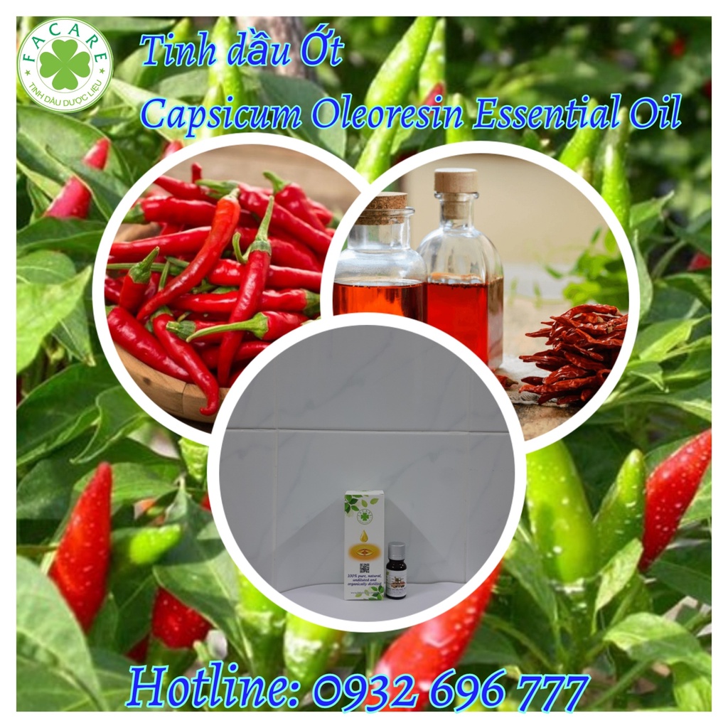 Tinh Dầu Ớt Capsicum Oleoresin essential oil - 10ml/50ml/100ml | Shopee ...