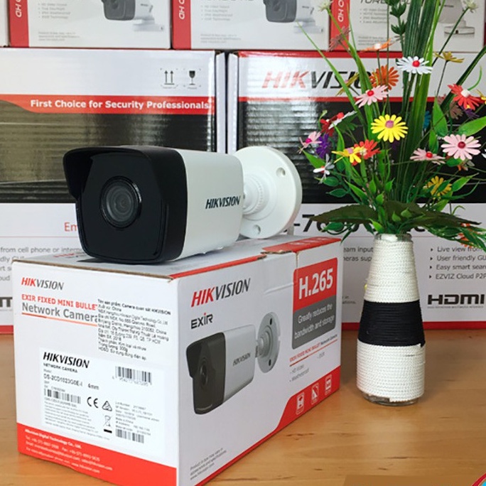 Camera IP 2MP HIKVISION DS-2CD1023G0-IUF - Tích hợp Míc trên Camera - Hàng chính hãng | Shopee ...