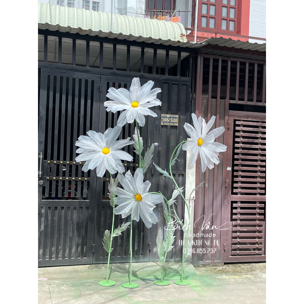 Set Hoa Cúc Trắng Trang Trí Khổng Lồ | Shopee Việt Nam