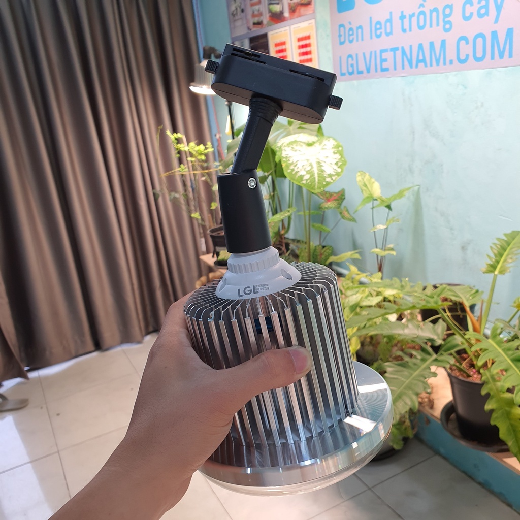 Đèn Quang Hợp Spotlight LGL 50W, Đèn Trồng Cây, Ánh Sáng Nắng Sớm Giúp ...