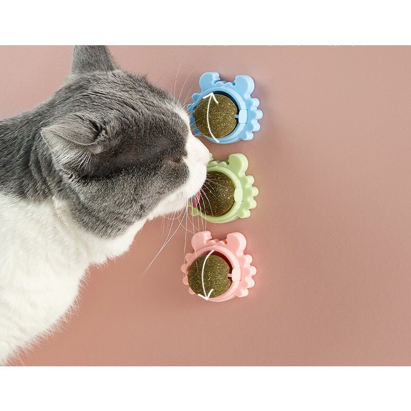 Cỏ Catnip Bạc Hà Viên Nén Gắn Tường Cho Mèo Catnip Toy | Shopee Việt Nam