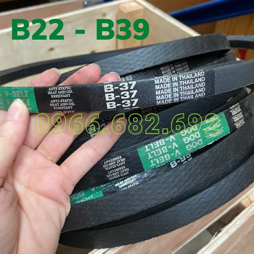 Dây curoa trơn bản B: B22 B23 B24 B25 B26 B27 B28 B29 B30 B31 B32 B33 B34 B35 B36 B37 B38 B39 ...