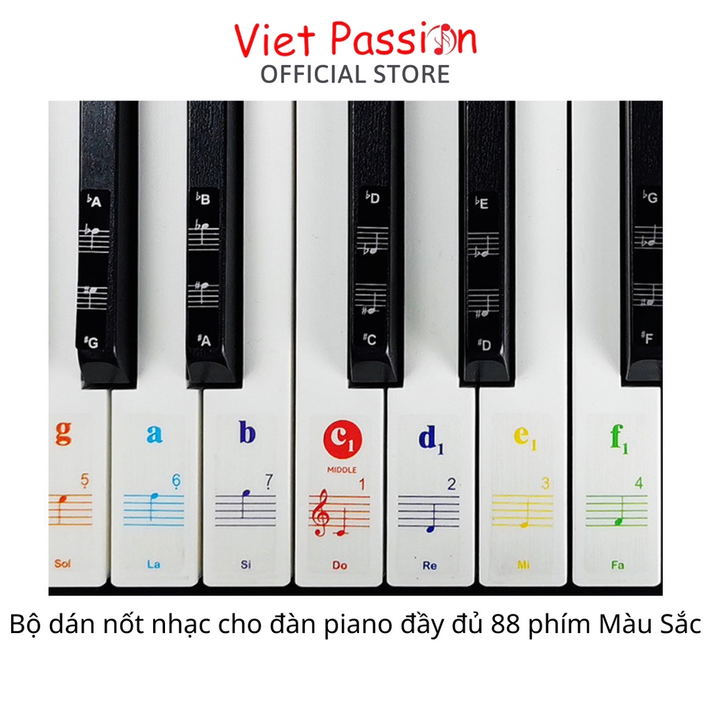 Sticker dán nốt bàn phím đàn piano organ Decal đánh dấu vị trí note ...