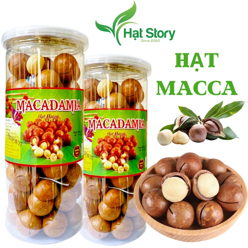 500Gr Hạt Macca Nguyên Vị Nứt Vỏ Size Đại Đắk Lắk Cam Kết Ngon | Shopee ...