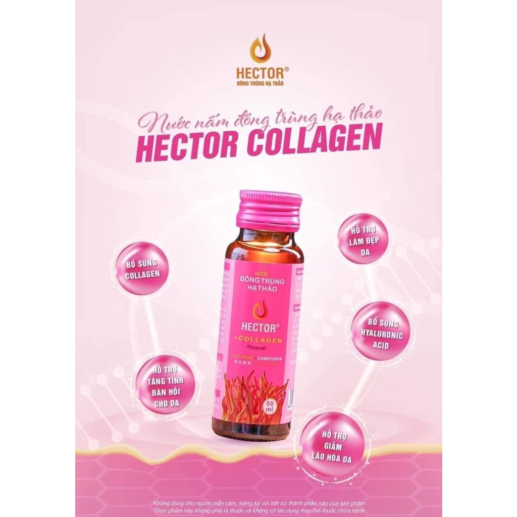 Hector Collagen - Đông Trùng Hạ Thảo kết hợp Collagen 5000mg dạng nước ...