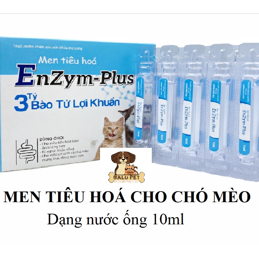 Men tiêu hoá Enzyme plus cho chó mèo ống 10ml, bổ sung lợi khuẩn đường ...