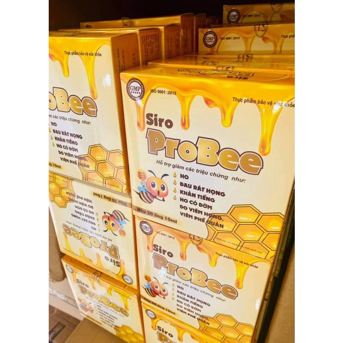 Siro hỗ trợ giảm ho, đau rát họng ProBee hộp 20 ống x 10ml | Shopee ...