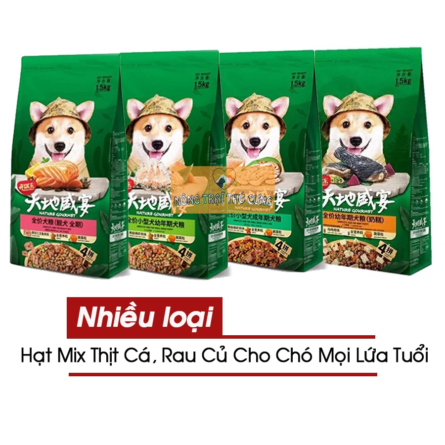 Thức Ăn Hạt Mix Thịt, Rau Củ Cho Chó Kitchen - Nhiều Vị - Phù Hợp Chó ...