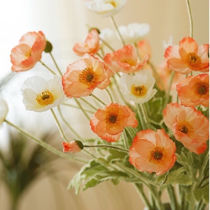 Cành Hoa Kim Anh Hoa Anh Túc (Poppy) 3 Bông 1 Nụ 50cm Hoa Giả Trang Trí ...