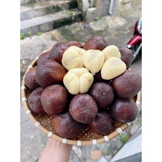 Mây Indo ( mây Bali da rắn ) | Shopee Việt Nam