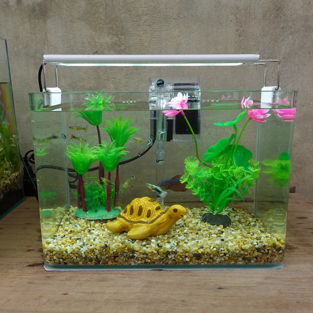 Bể cá mini 30 cm và 7 món (bể, 2kg sỏi nền, máy lọc, cây nhựa (cây dừa ...