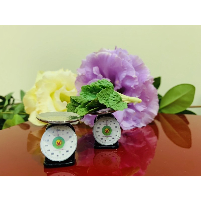 Cân mini .(2 cái) | Shopee Việt Nam