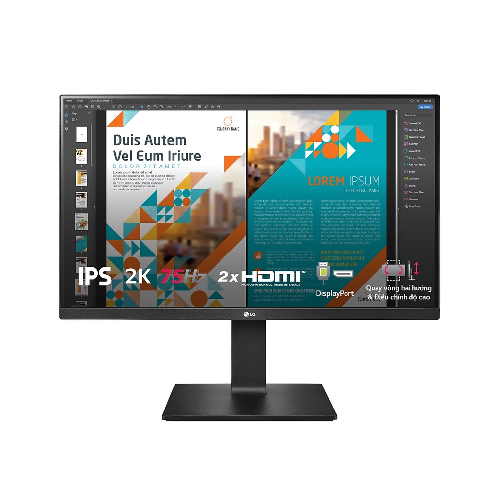Màn hình máy tính LG QHD 23.8'' IPS AMD FreeSync™ HDR10 sRGB 99% chân ...