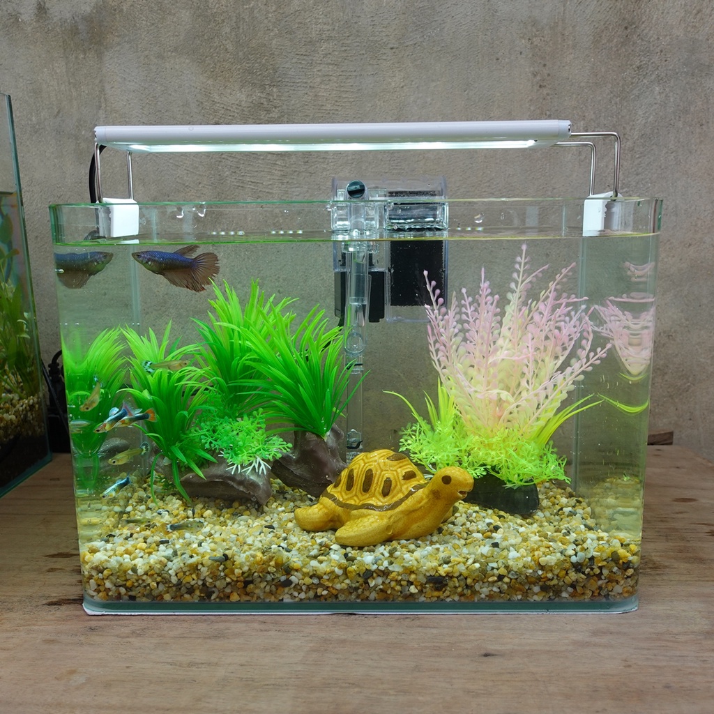 Bể cá mini 30 cm và 7 món (bể, 2kg sỏi nền, máy lọc, cây nhựa (đế giả ...