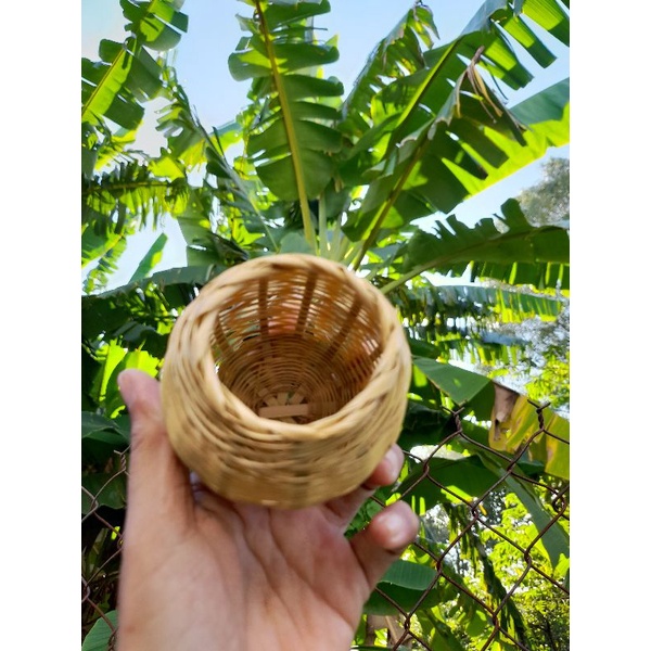 Tổ chim mini | Shopee Việt Nam