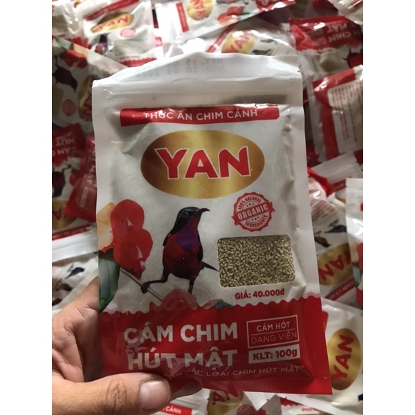 cám chim hút mật, ốc mít yan hót, yan dưỡng | Shopee Việt Nam