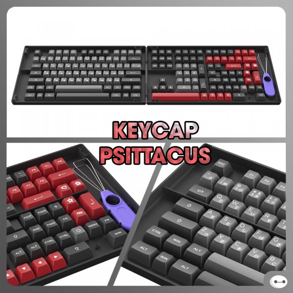 Bộ Keycap Akko Psittacus (PBT Double Shot / ASA Profile /158 Nút ) - Đỗ ...